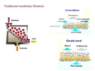 Membrane seperation in milk technology | PDF