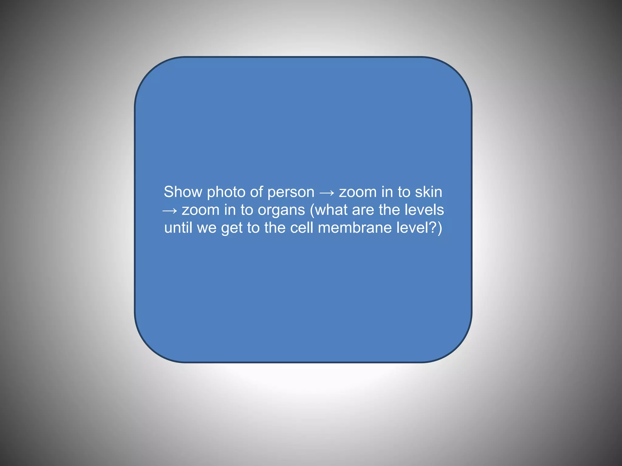 Membrane Storyboard | PDF | Computing | Technology & Computing