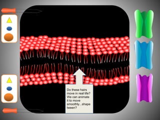 Membrane Storyboard | PDF | Computing | Technology & Computing