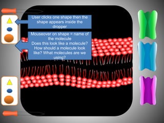 Membrane Storyboard | PDF | Computing | Technology & Computing