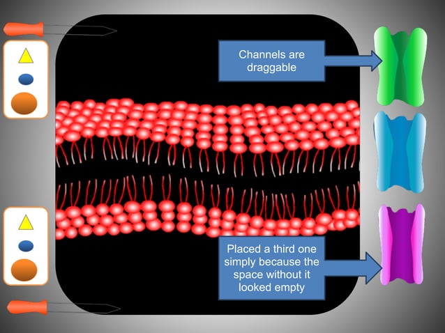 Membrane Storyboard | PDF | Computing | Technology & Computing