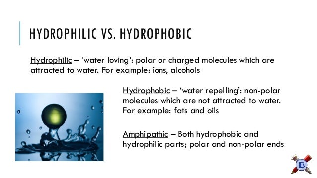 Hydrophilic Examples
