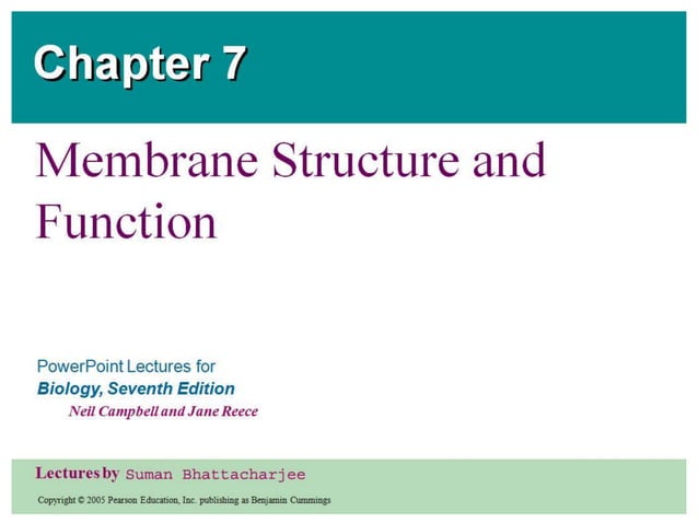 membrane_structure.ppt