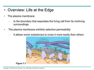 membrane_structure.ppt