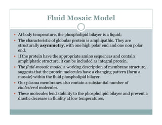 Membrane structure1 | PDF