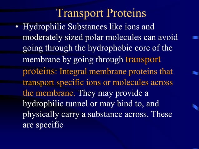 membrane_structure_and_function.ppt