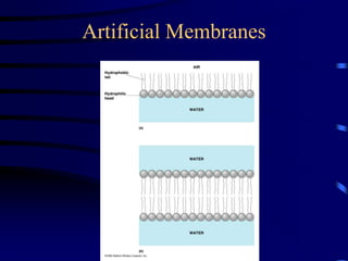 membrane_structure_and_function.ppt