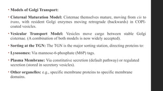 Membrane structure and function 2.3.pptx