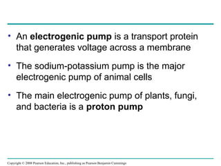 Membrane Structure and Function campbell | PPT