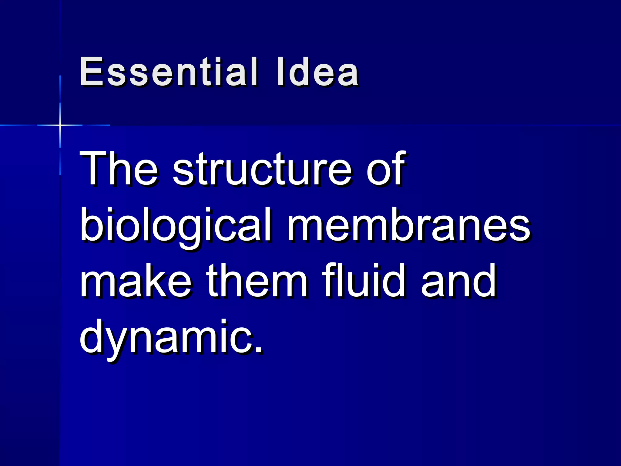 Membrane IB | PPT