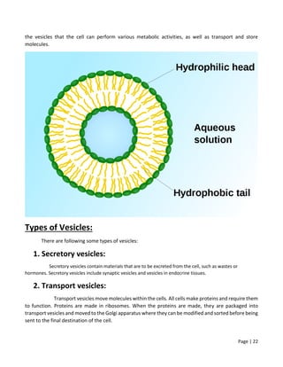 Membrane system (Afsheen).pdf