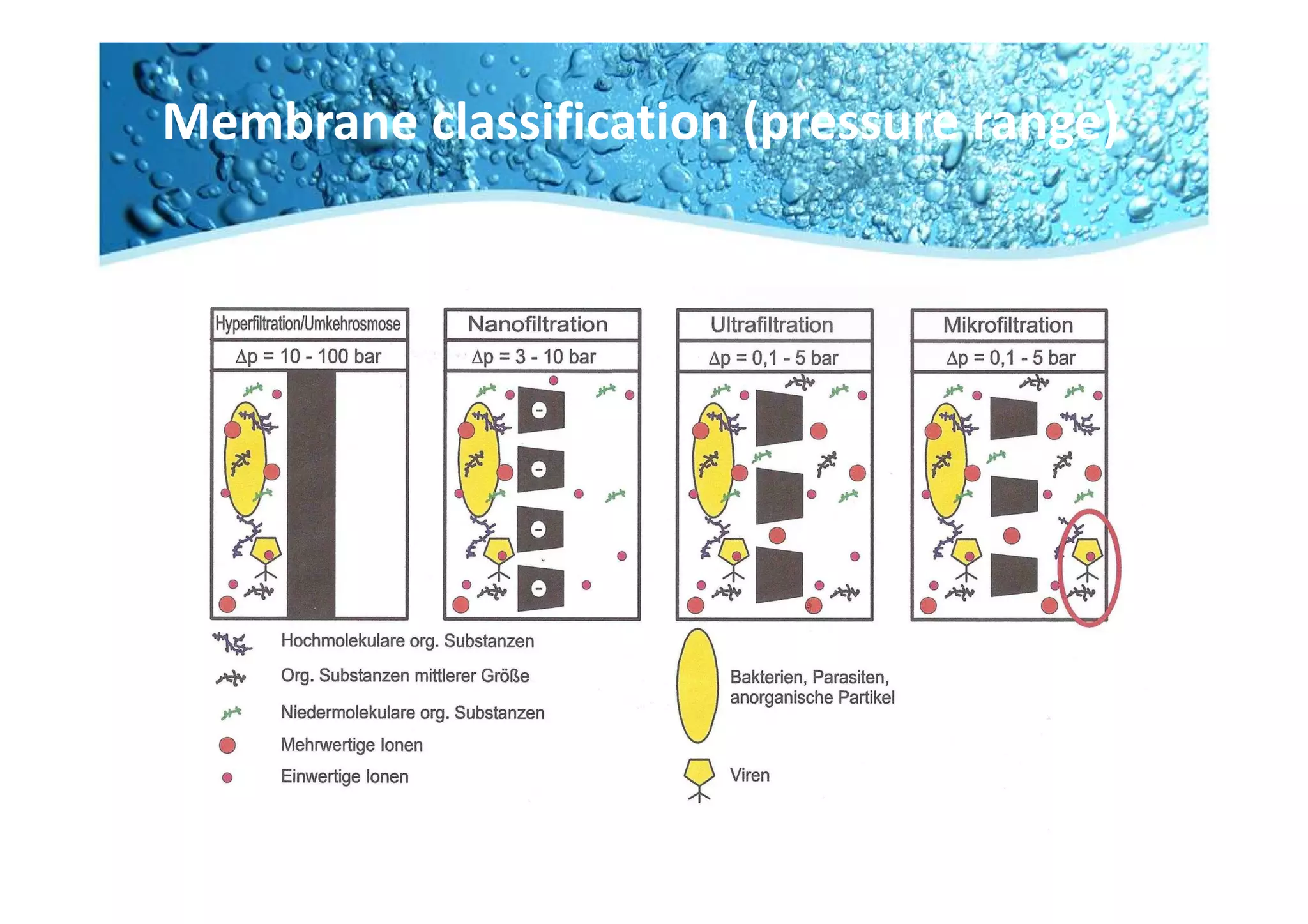 Membrane technology | PDF