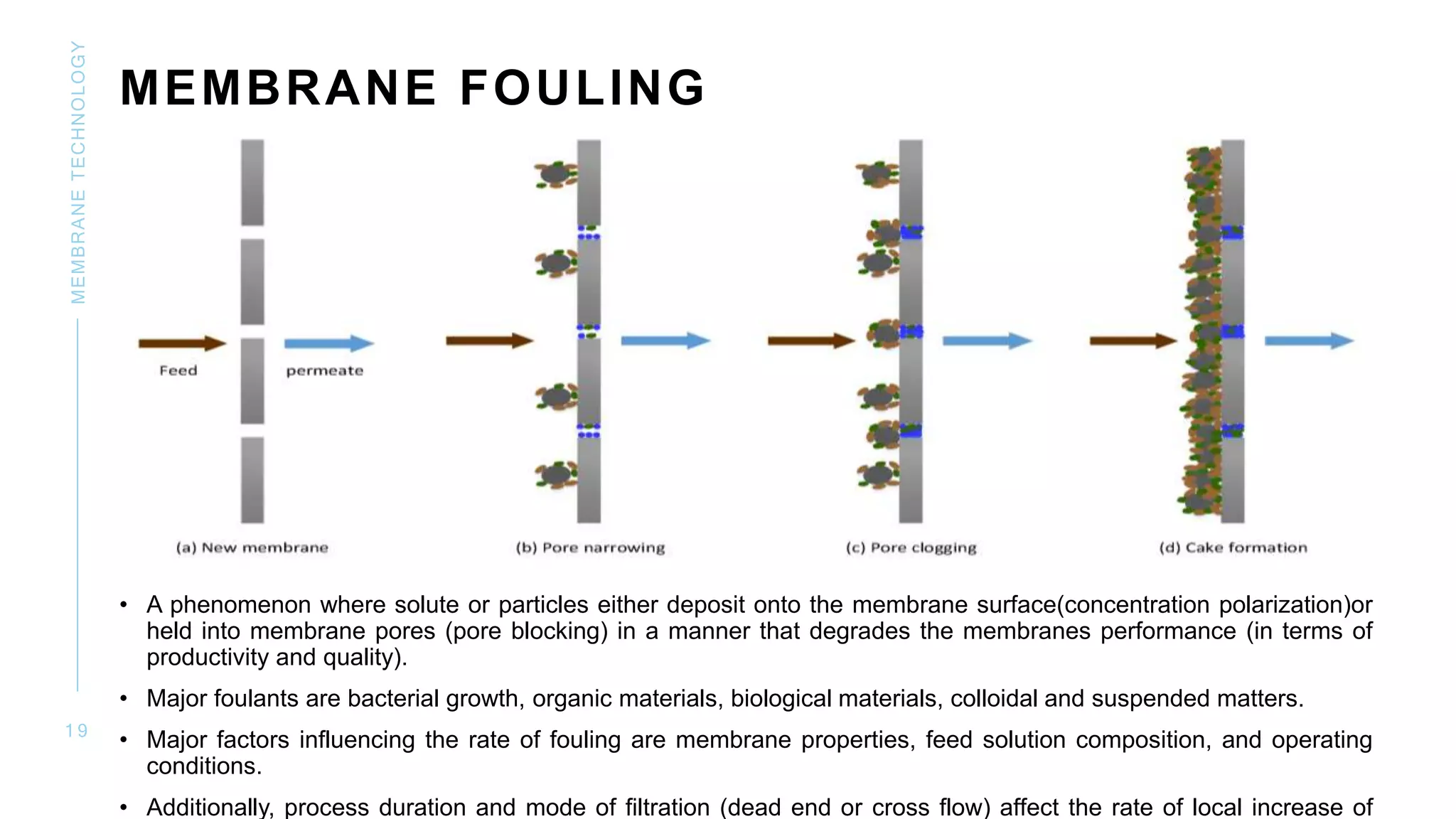 Membrane technology 2023.pptx