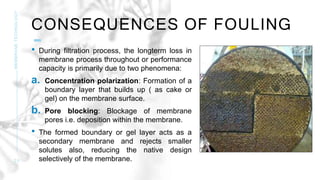 Membrane technology 2023.pptx