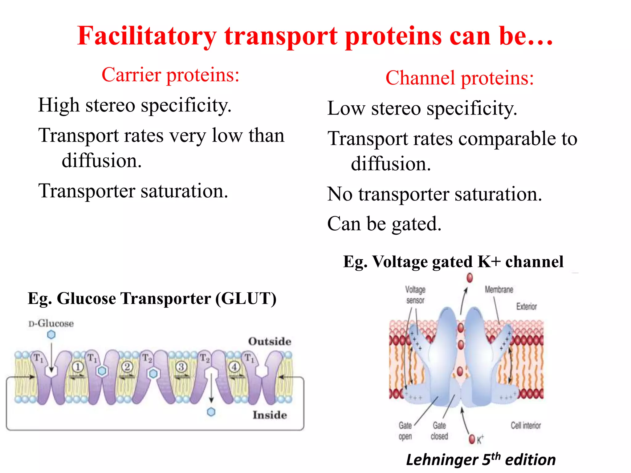 Cell Membrane transport | PPTX
