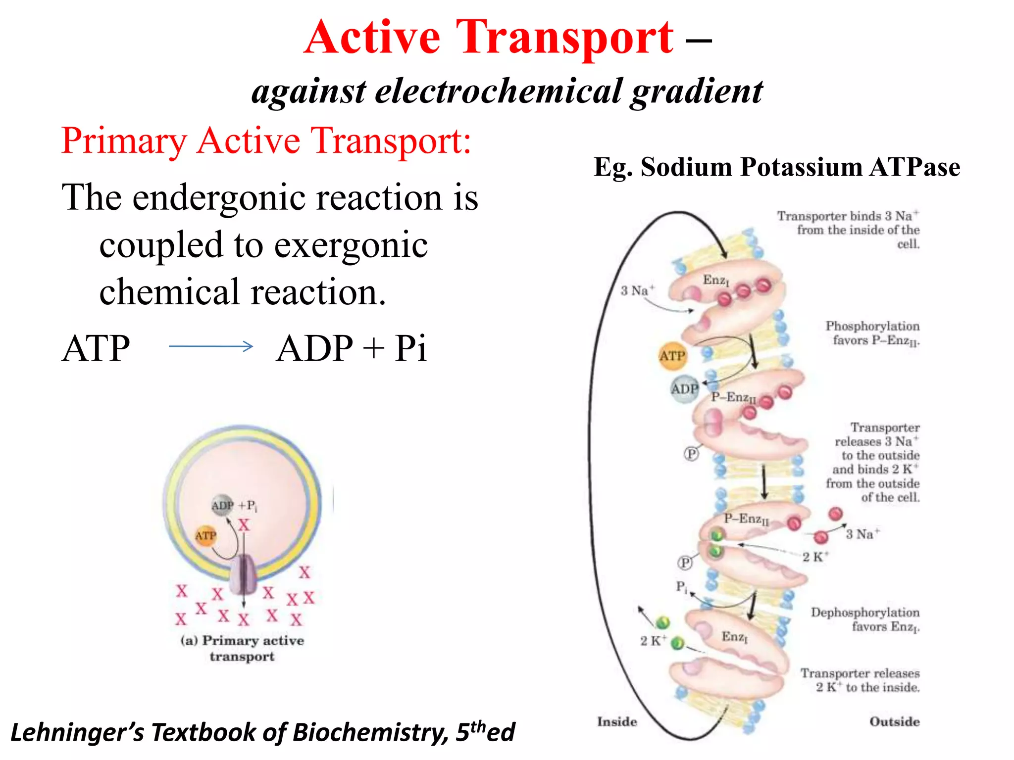 Cell Membrane transport | PPTX