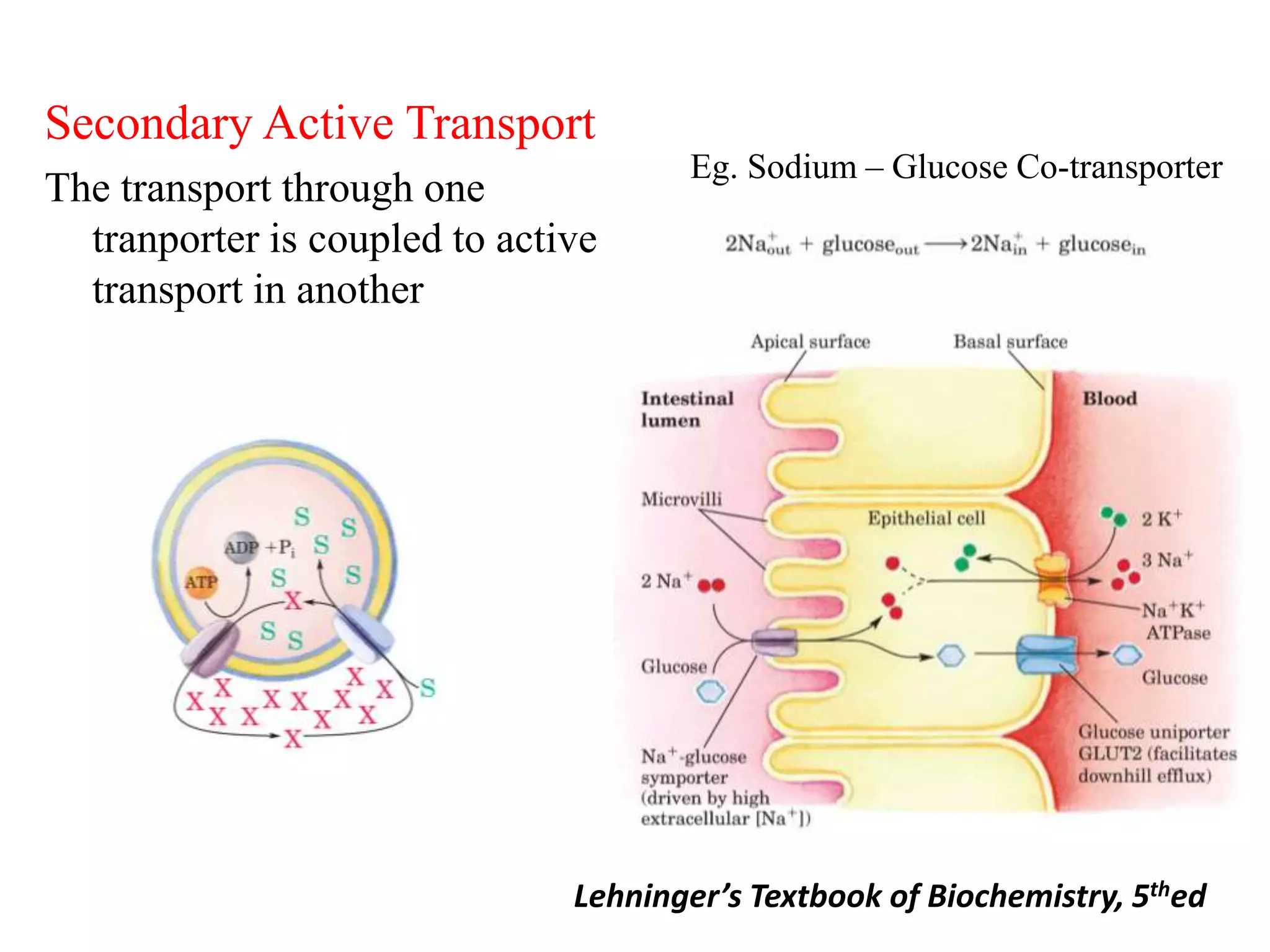 Cell Membrane transport | PPTX