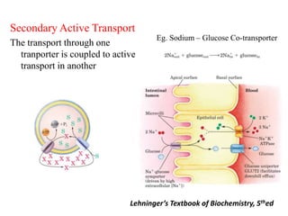 Cell Membrane transport | PPTX