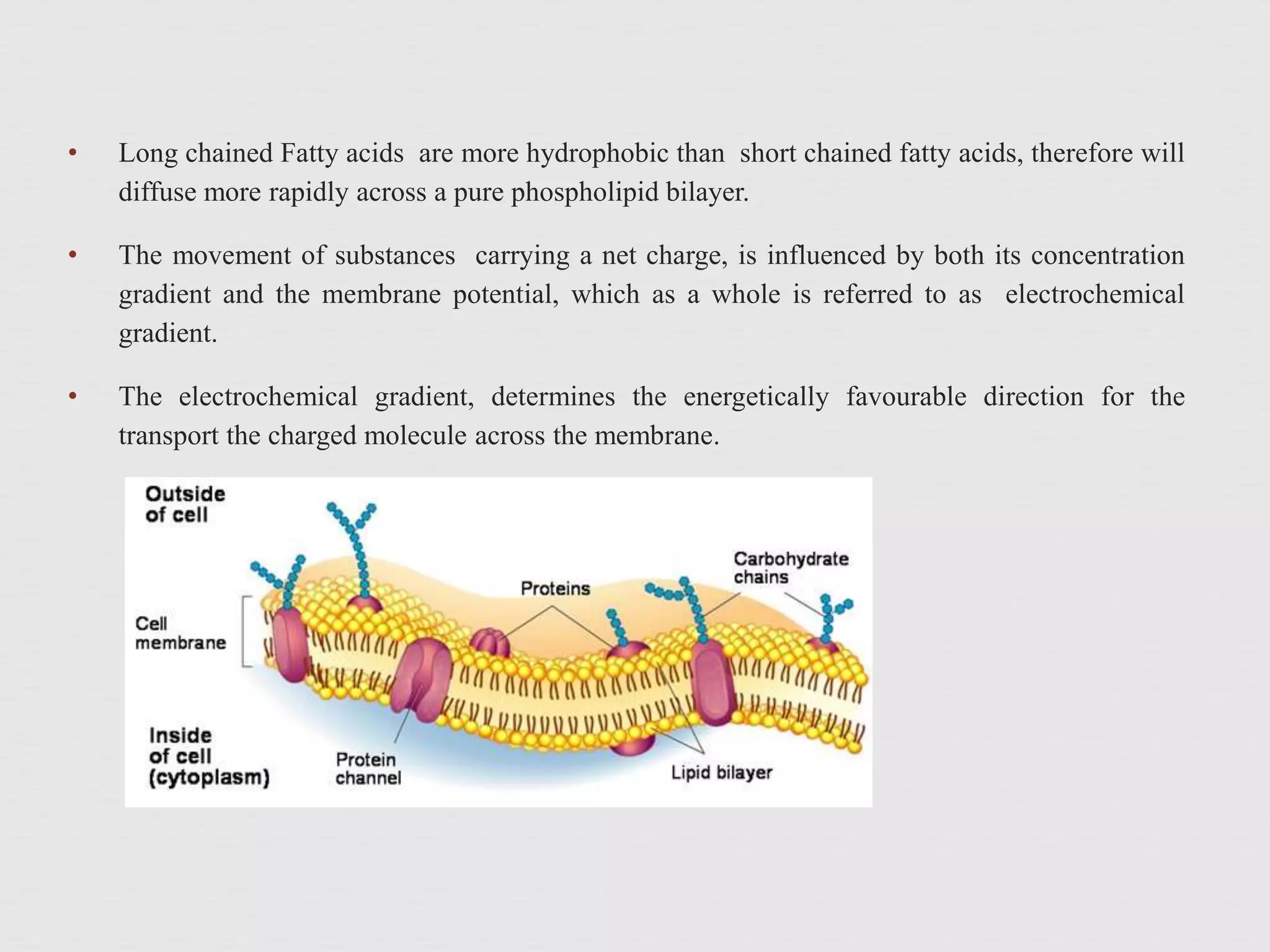 Membrane transport | PPTX
