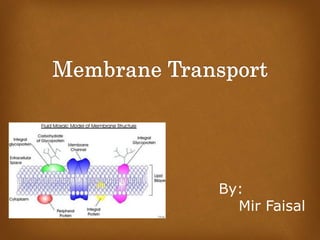 Membrane transport | PPT