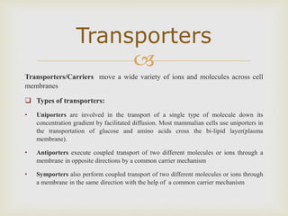 Membrane transport | PPT