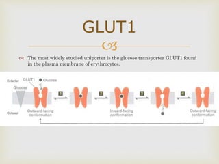 Membrane transport | PPTX