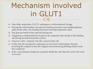 Membrane transport | PPT