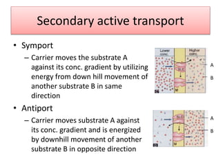 Membrane transport | PPTX