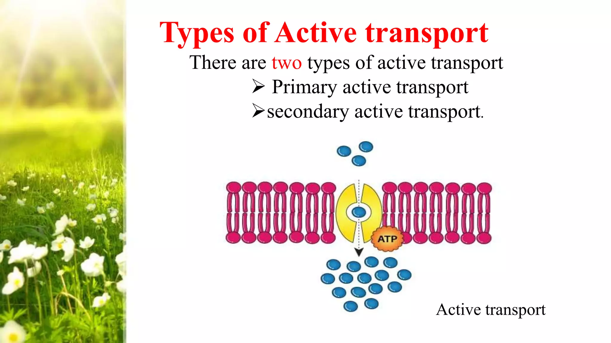 Membrane transport | PPTX