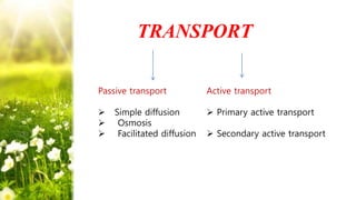 Membrane transport | PPTX