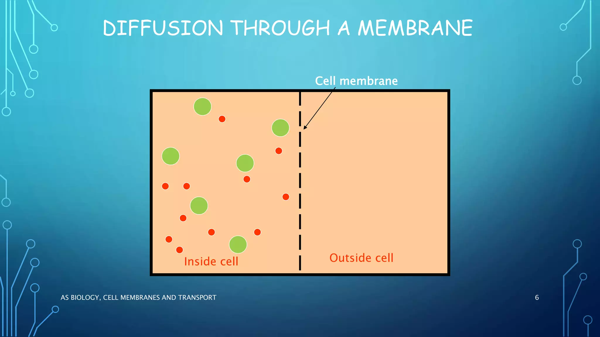 Membrane transport | PPTX