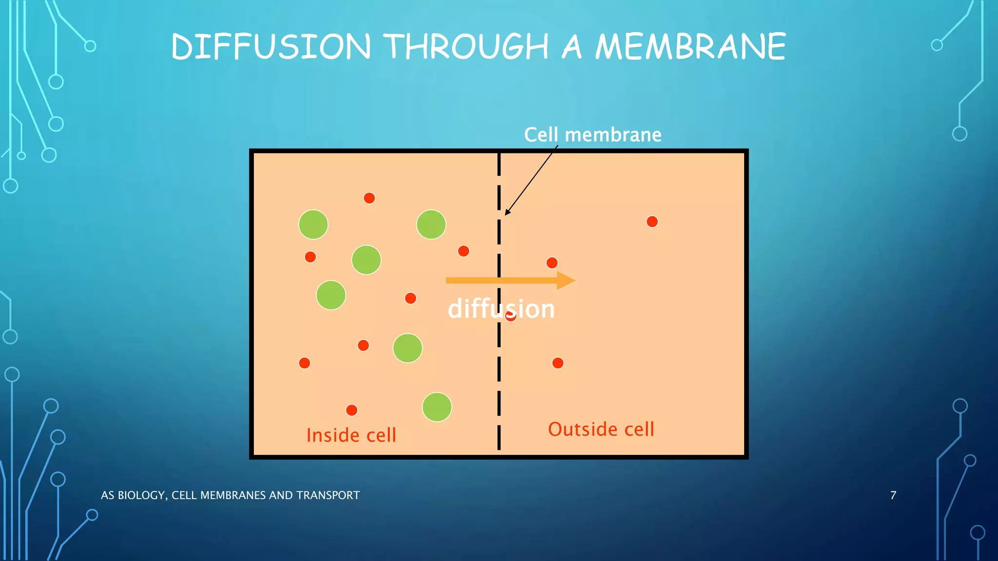 Membrane transport | PPTX