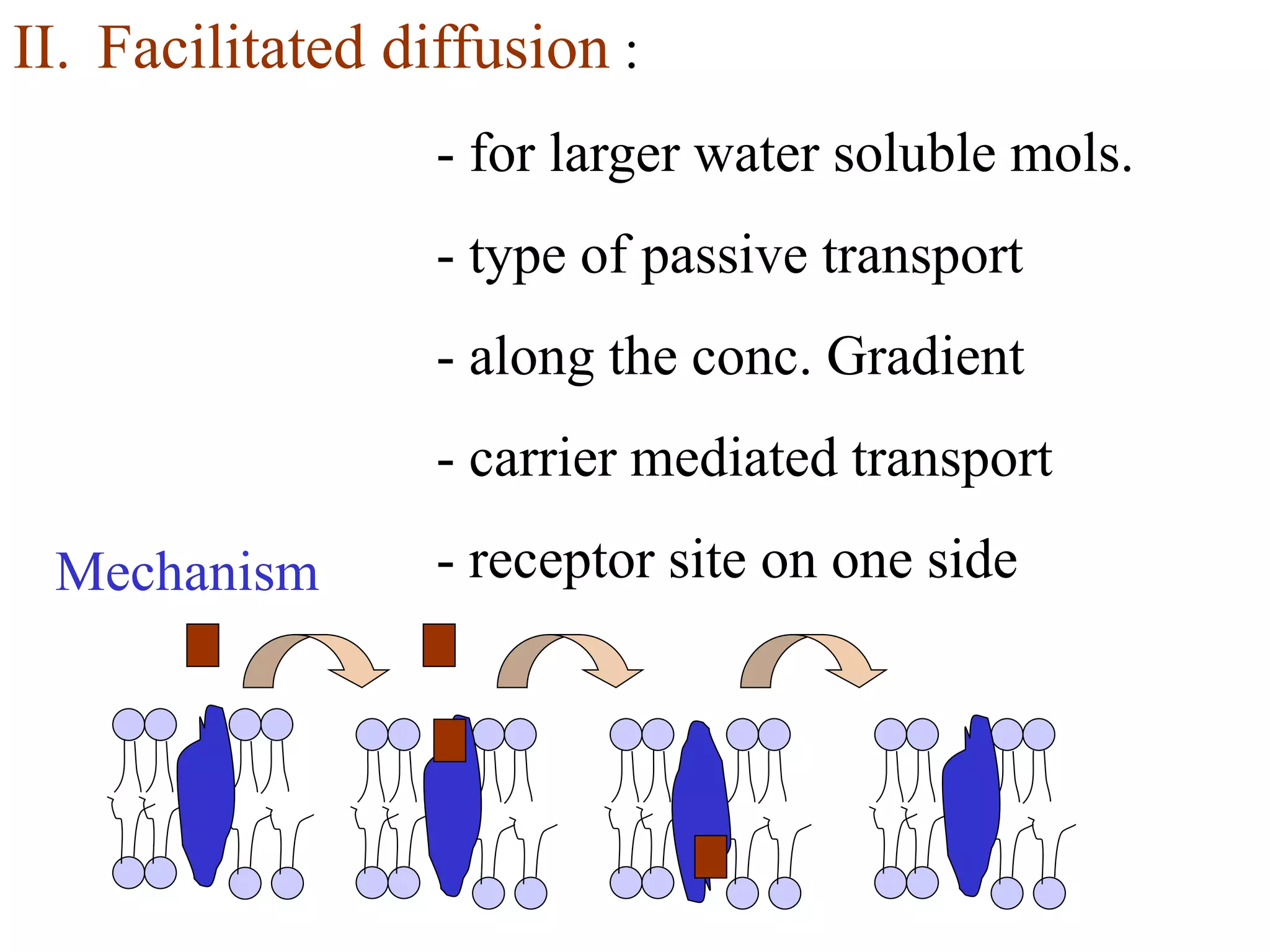 membrane_transport.ppt | Chemistry | Science