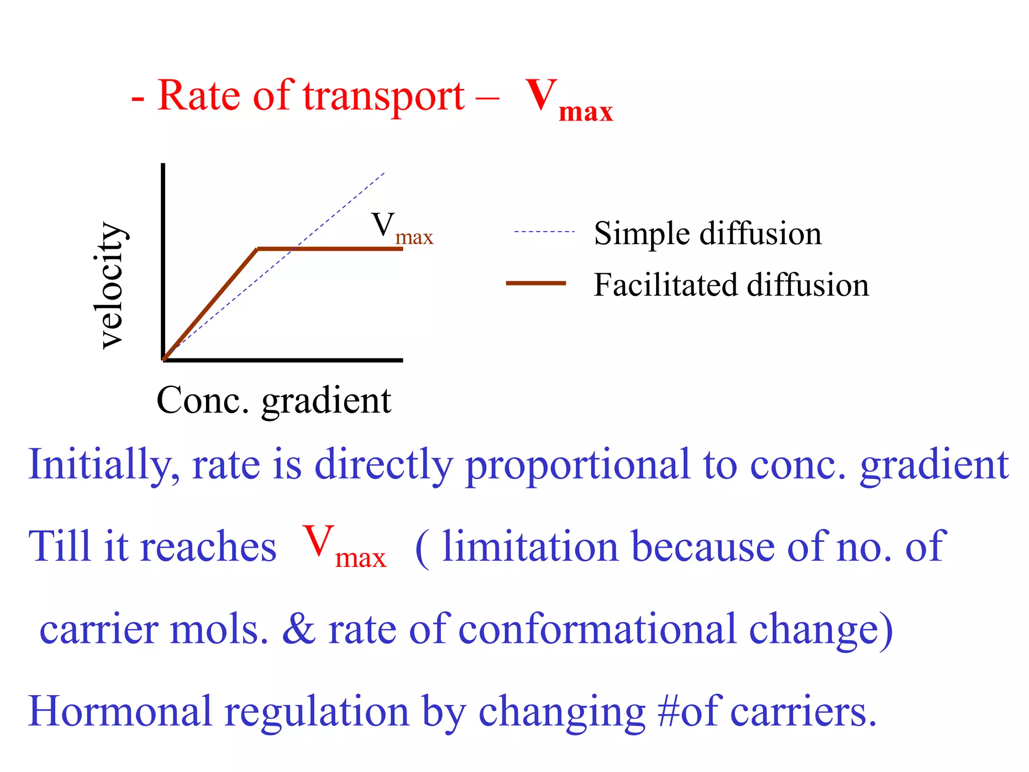 membrane_transport.ppt | Chemistry | Science