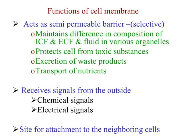 membrane_transport.ppt