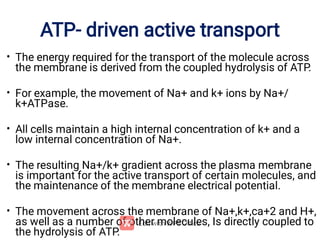 membrane transport.pdf