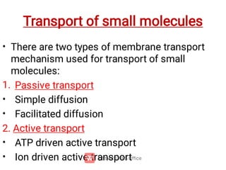 membrane transport.pdf