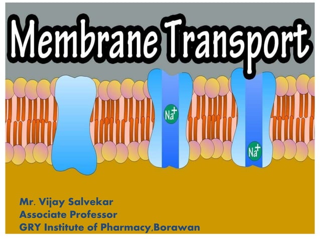 membrane transport.pptx | Chemistry | Science