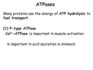 membrane transport.pptx