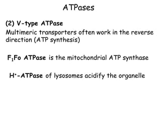 membrane transport.pptx