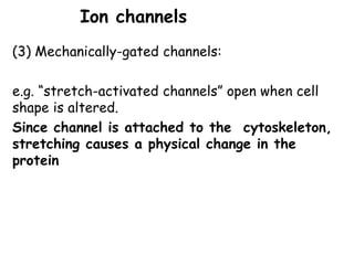 membrane transport.pptx