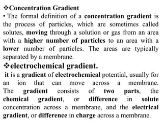 Concentration Gradient Definition