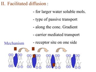 membrane_transport | PPTX