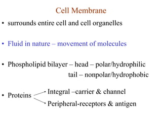 membrane_transport | PPTX