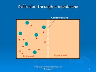 Transport Through the Cell Membrance.ppt