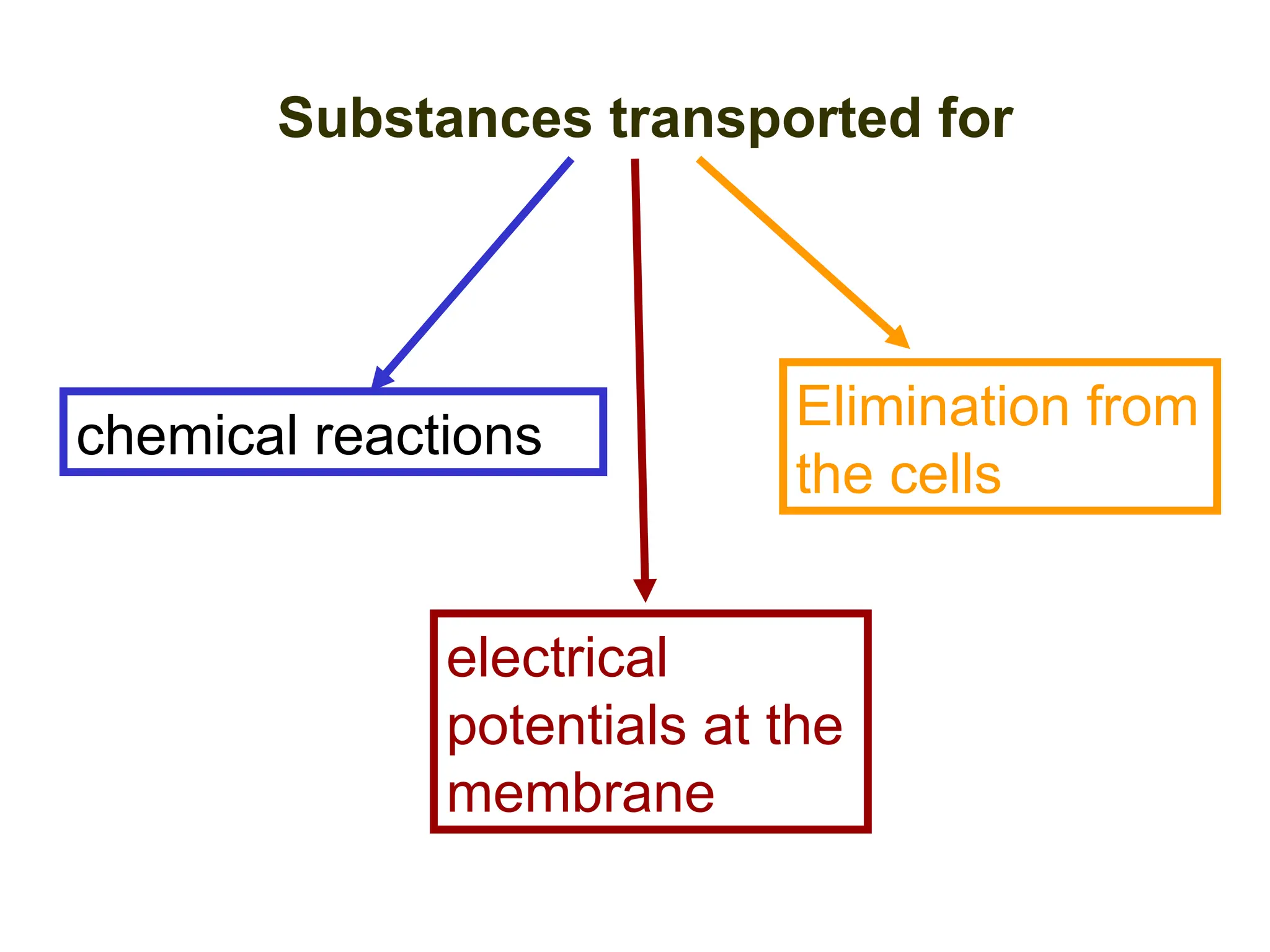 membrane_transport general biology 1.ppt
