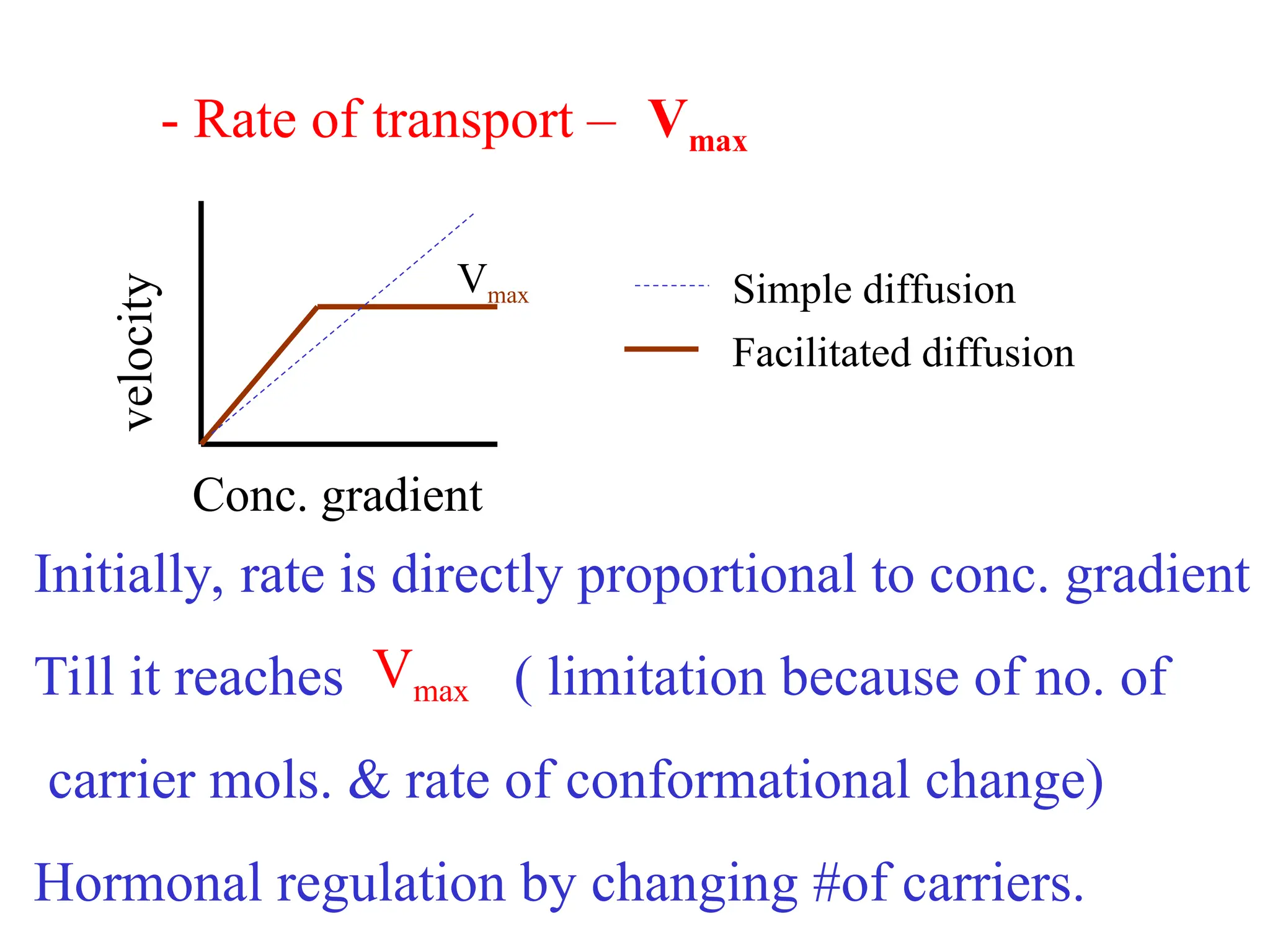 membrane_transport general biology 1.ppt
