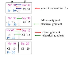 membrane_transport general biology 1.ppt