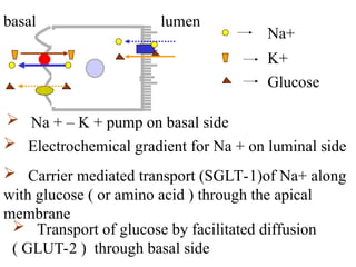 cell membrane transport and their types .ppt