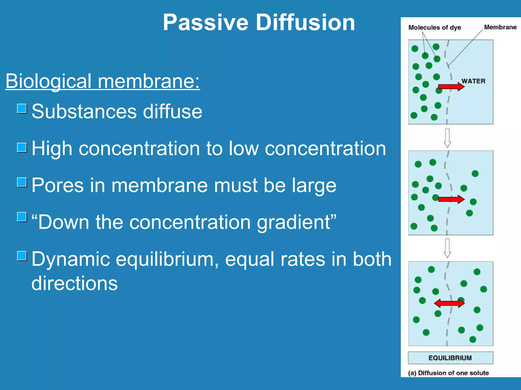 Membrane transport1 | PPT